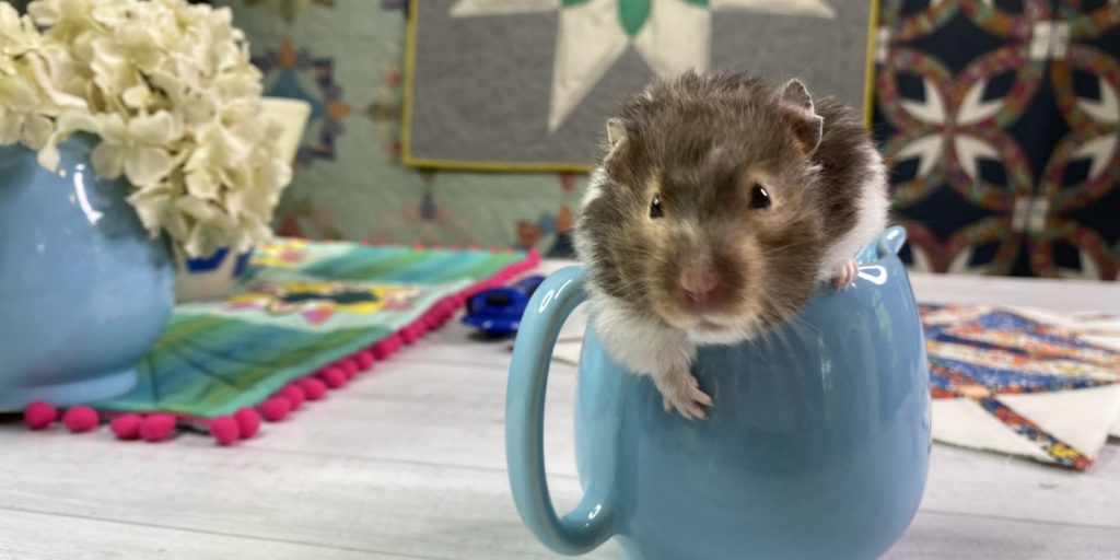 Cookie Dough & Kim Martucci - Women Create