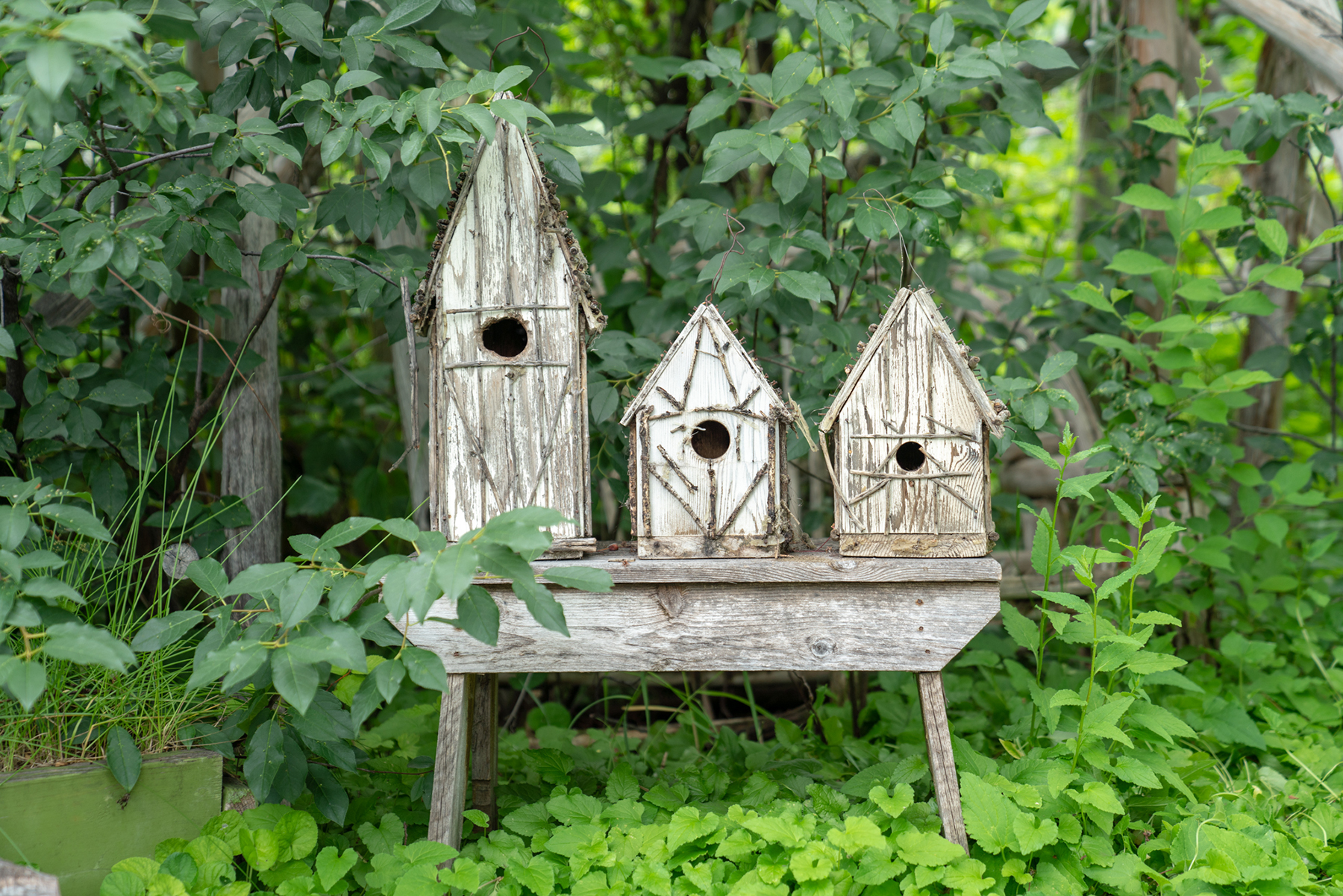 Alex Hamlin - Women Create