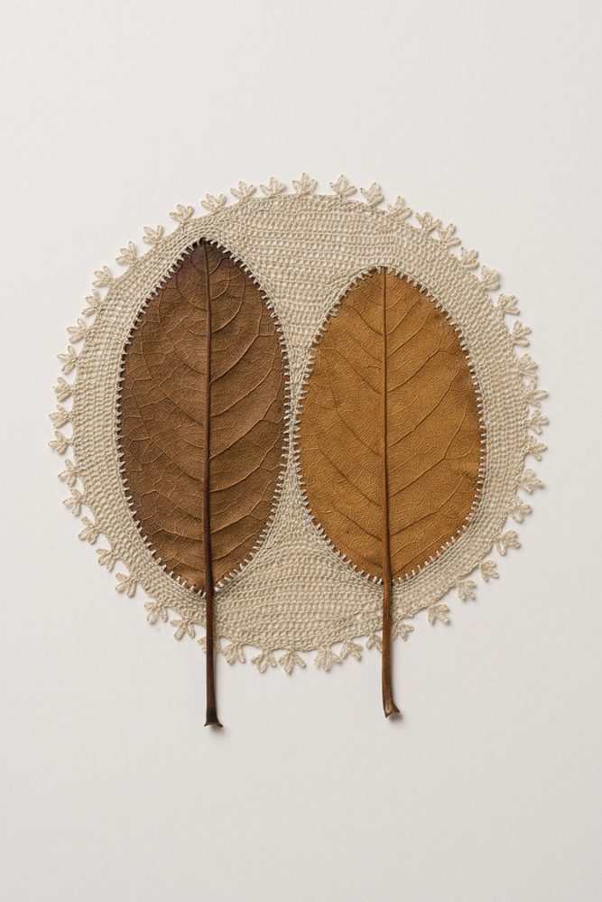 Susanna Bauer - Women Create