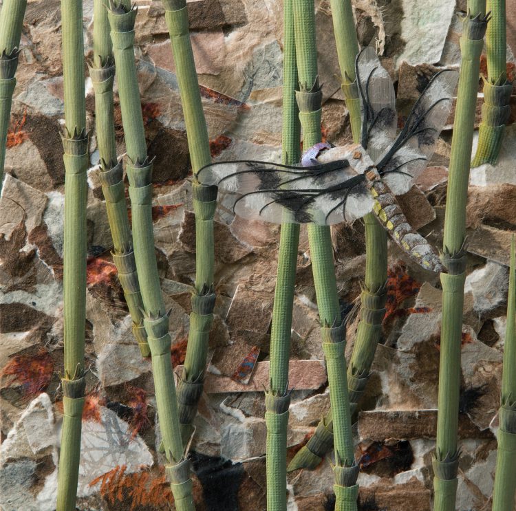 Mel Schockner - Women Create