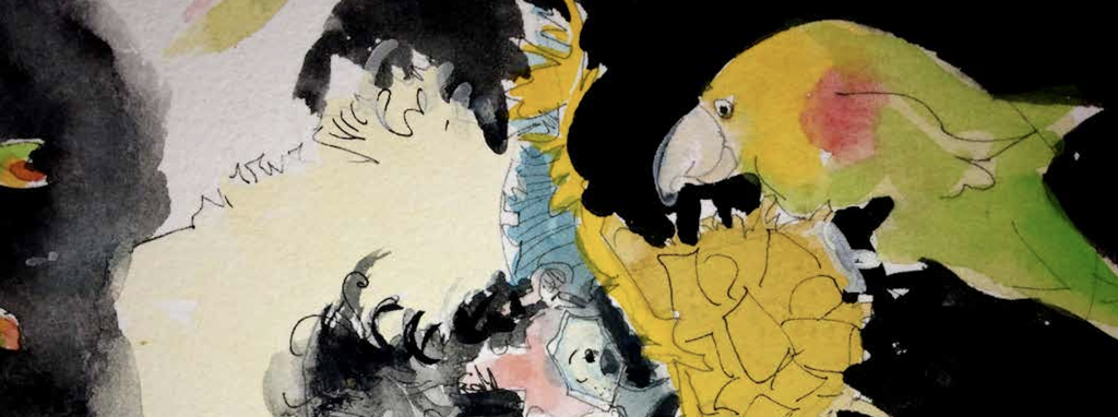 Parrot Paco & Kim Howard - Women Create