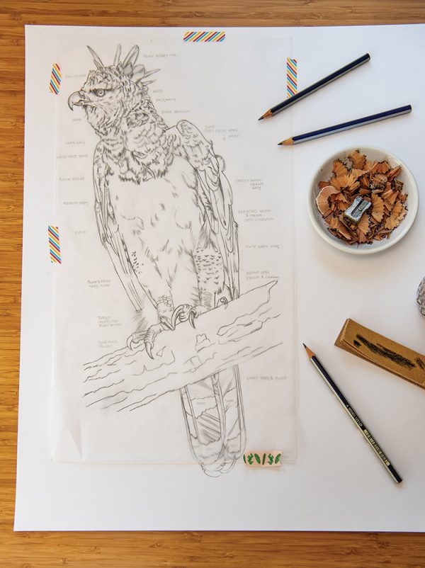 Stephanie Bland - Women Create