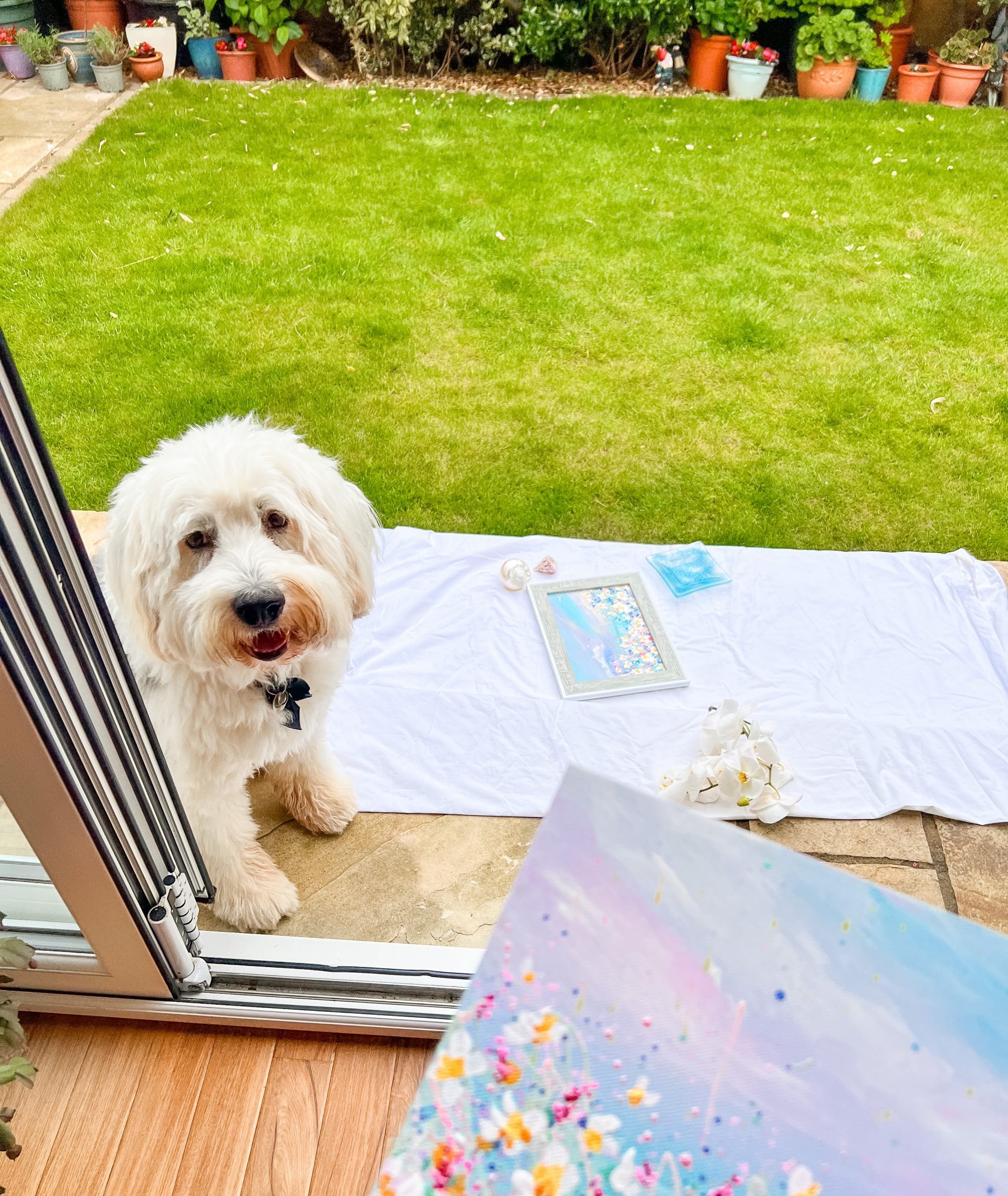 Bear & Ari - Women Create