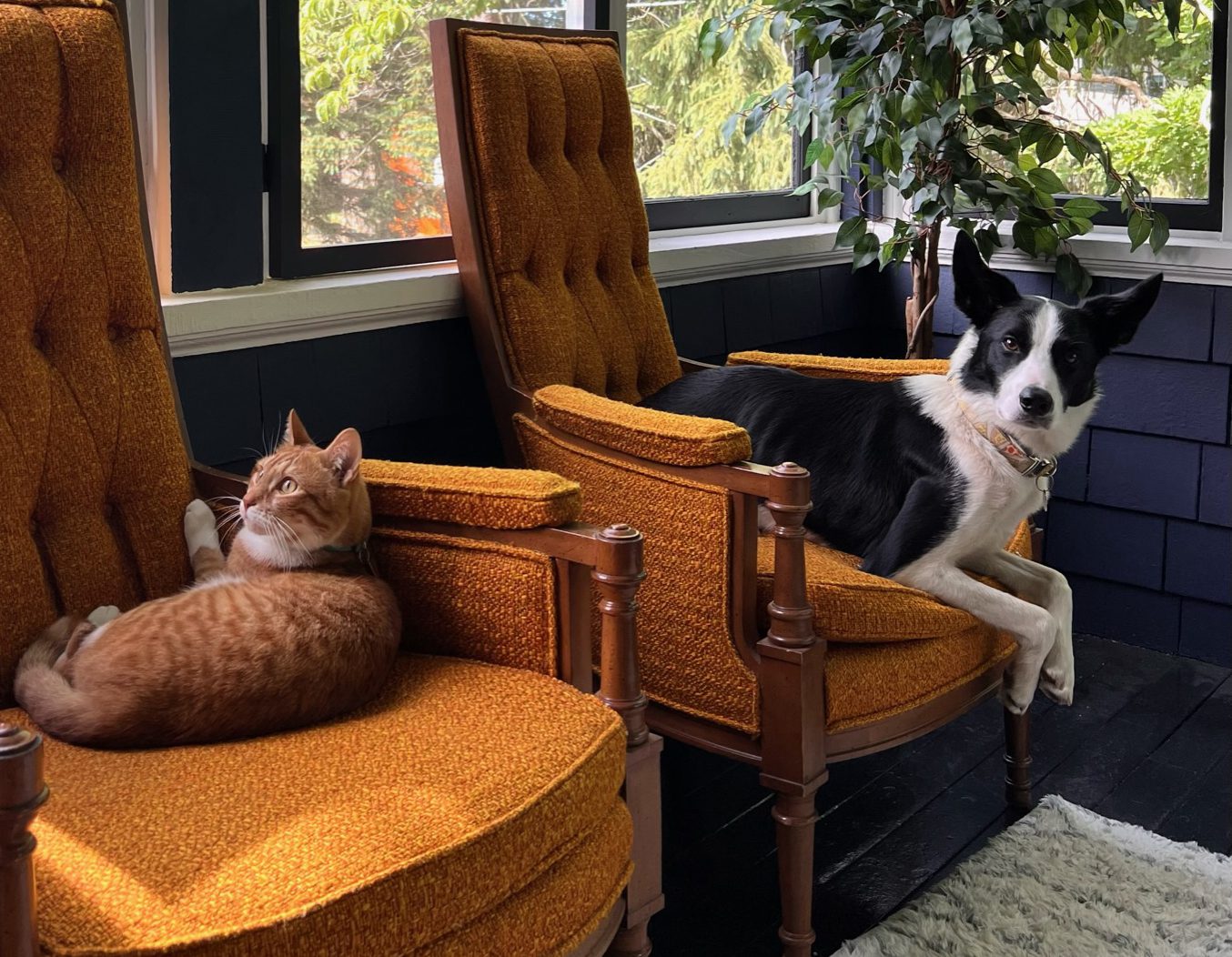 Fig, Fox & Finn - Women Create