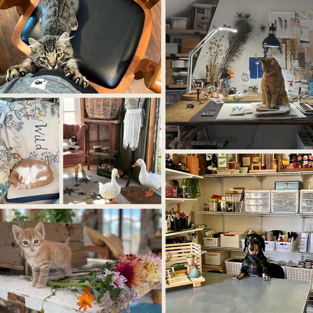 Extras - Women Create