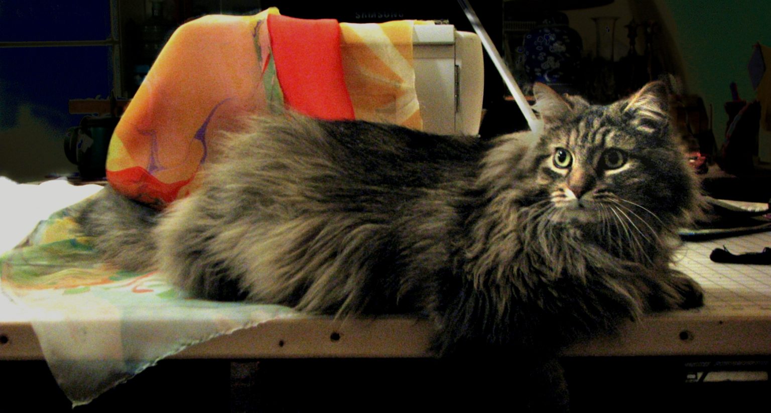 Mitzy - Women Create