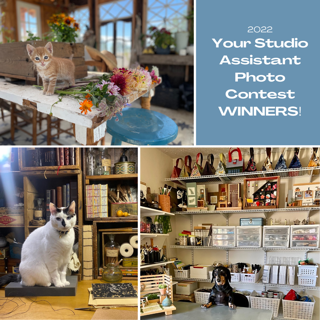 Your Studio Assistant Photo Contest Winners! - Women Create