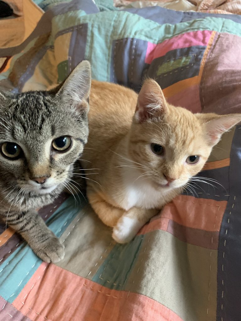 Rufus, Athena & Tina Michalik - Women Create