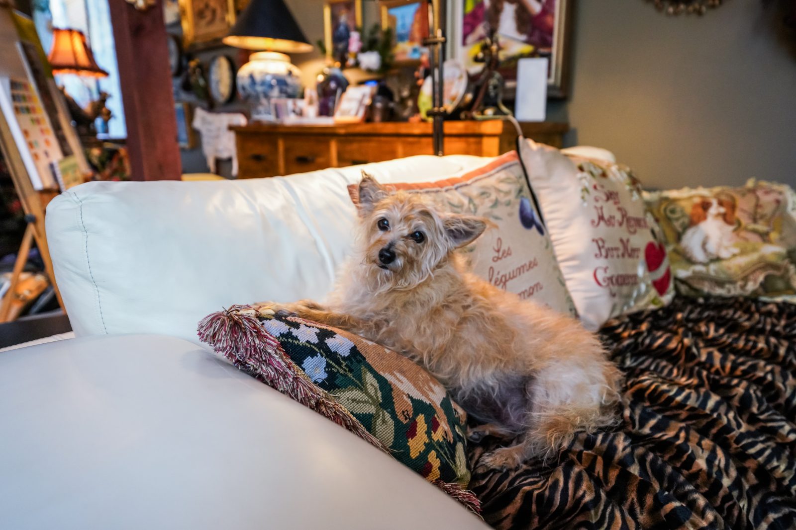 Phoebe and Eowana - Women Create