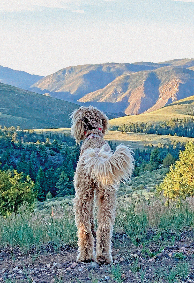 Biscuit and Cathy Morrison - Women Create